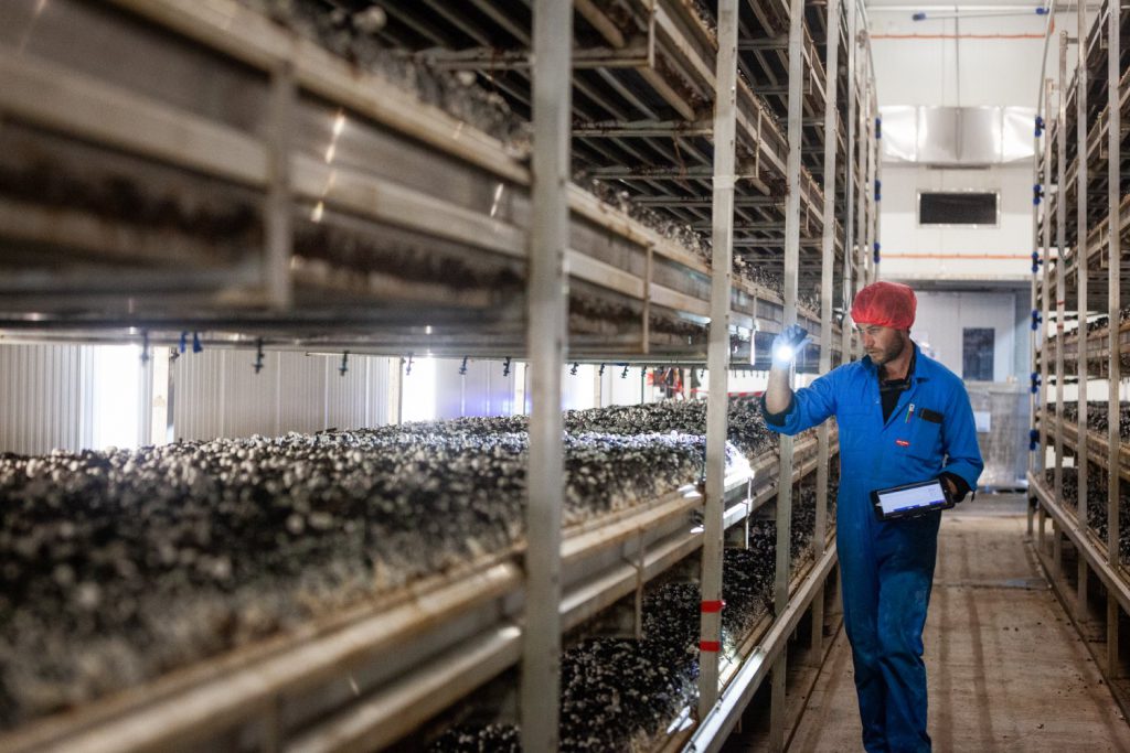 About Us – Regal Mushrooms