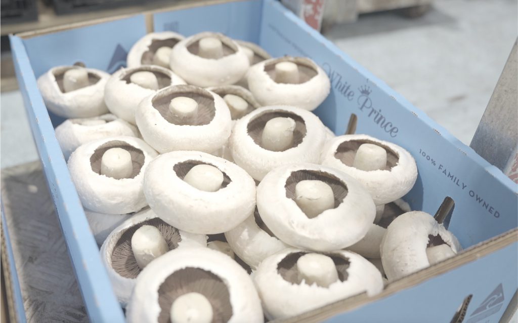 Our Products – Regal Mushrooms