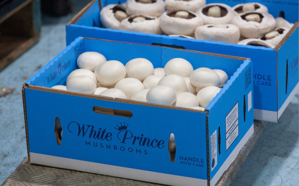 Our Products – Regal Mushrooms